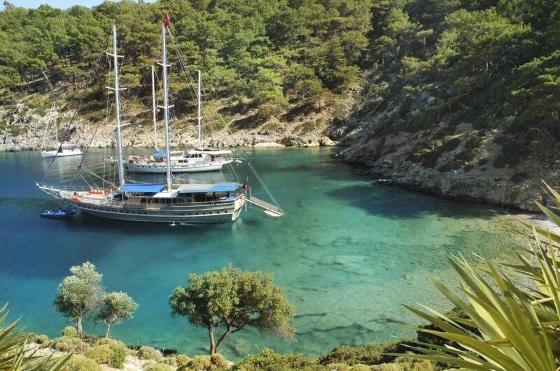 Fethiye: 12 Islands Boat Tour with Lunch and Hotel Pickup - Food and Drink: A Highlight for Many Guests