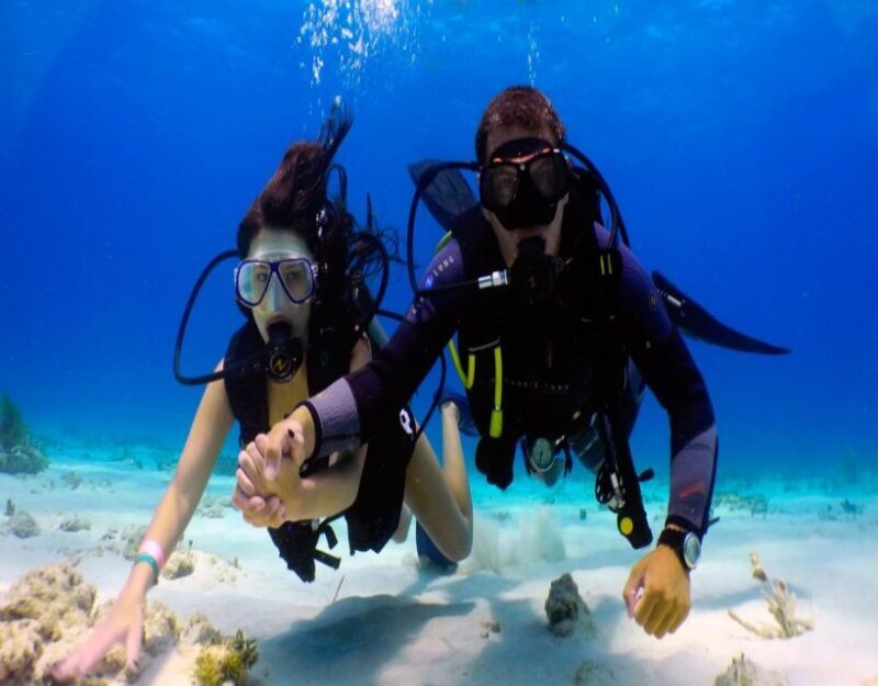 Fethiye: 2 Guided Scuba Dives with Lunch and Hotel Transfers - The Marine Environment of Fethiye