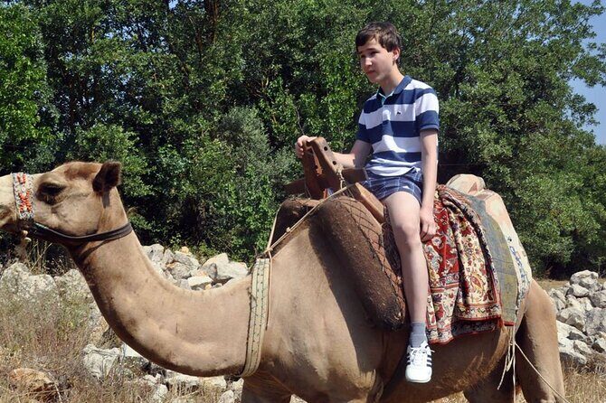 Fethiye Camel Riding at Gosht Town - An Introduction to Fethiye Camel Riding