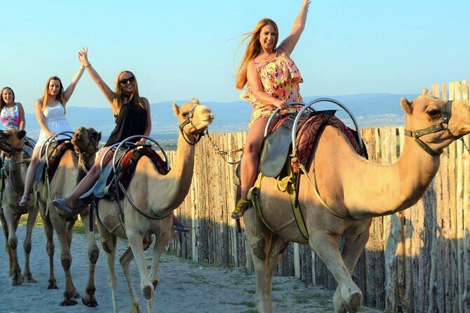 Fethiye Camel Riding at Gosht Town - The Scenic Route and Highlights