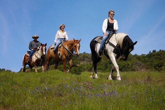 Fethiye Horse Riding Experience With Free Hotel Transfer Service - Why You Might Love This Horse Riding Tour in Fethiye