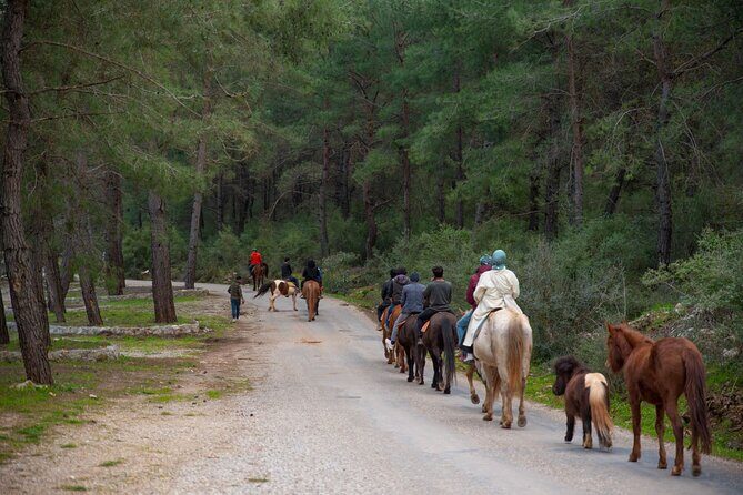 Fethiye Horse Riding Experience With Free Hotel Transfer Service - Who Is This Tour Best For?
