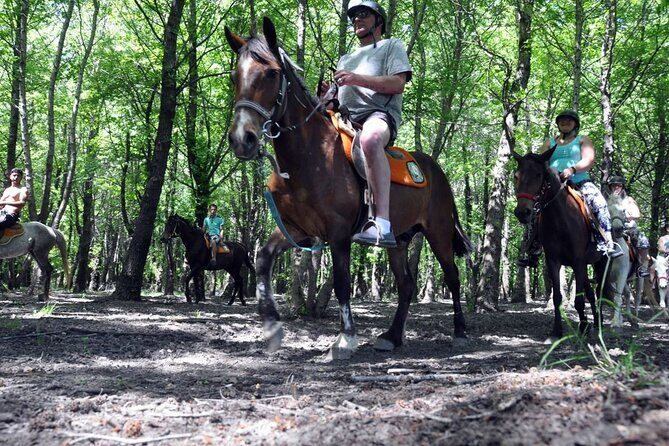 Fethiye Horse Riding Experience With Free Hotel Transfer Service - FAQ