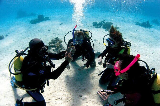 Fethiye Scuba Diving Experience By A Local Expert - Who Will Love This Experience?