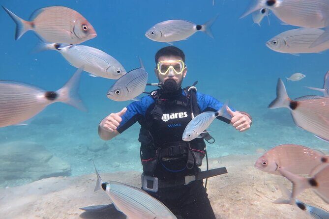 Fethiye Scuba Diving Trip with Mermaid Diving INCL Lunch-Transfer - The Experience: What Travelers Say