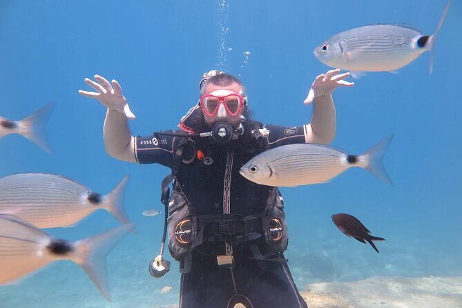 Fethiye Scuba Diving Trip with Mermaid Diving INCL Lunch-Transfer - Practical Details and Tips