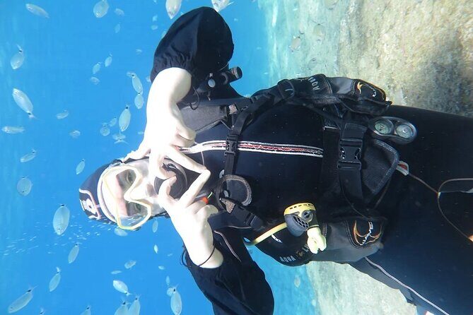 Fethiye Scuba Diving Trip with Mermaid Diving INCL Lunch-Transfer - Who Is This Tour Best For?