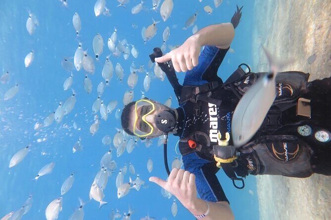 Fethiye Scuba Diving Trip with Mermaid Diving INCL Lunch-Transfer - Final Words