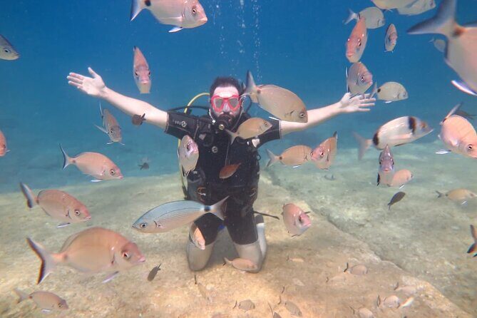 Fethiye Scuba Diving Trip with Mermaid Diving INCL Lunch-Transfer - FAQ