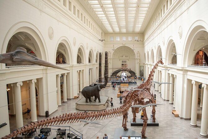 Field Museum Basic Admission Ticket Plus VR Experience - Key Points