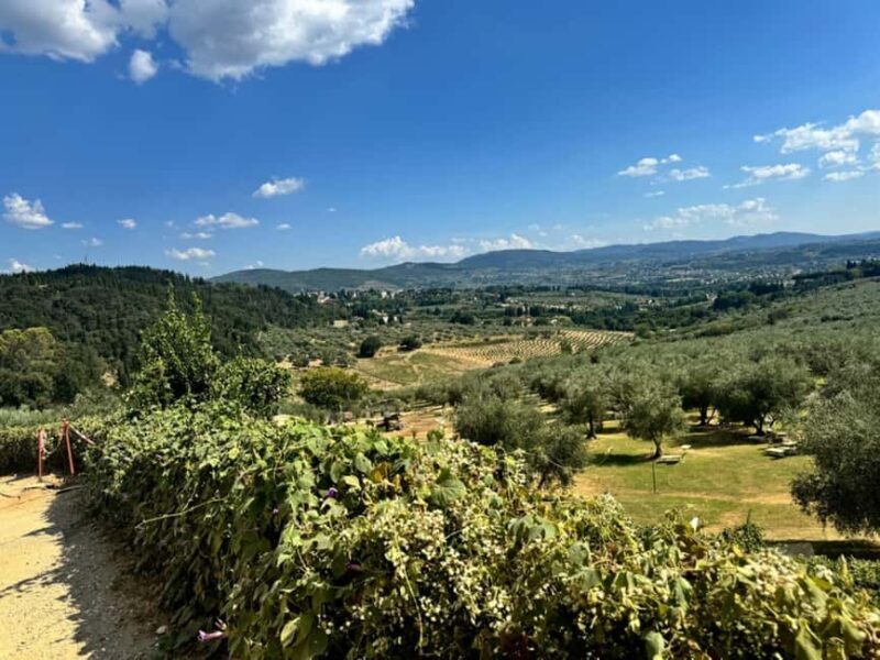 Fiesole E-Bike Tour with Olive Oil Tasting or Pool & Chill - Practical Details: What You Need to Know