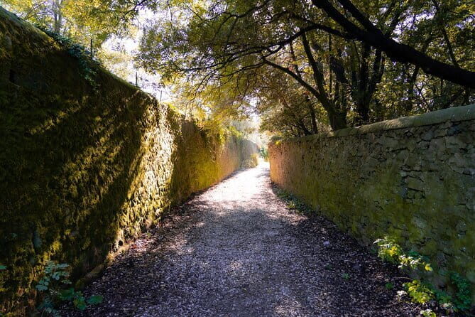 Fiesole Hike & Italian Aperitivo - Who Should Consider This Tour?