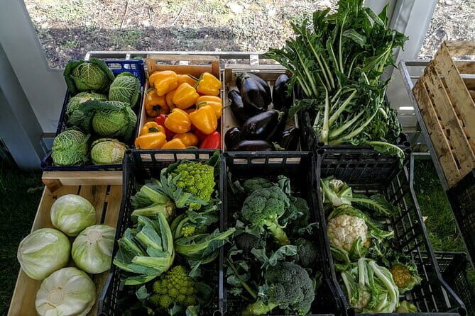 Fiesole: Tuscan Countryside Half Day E-Bike Tour & Farm visit - Final Thoughts