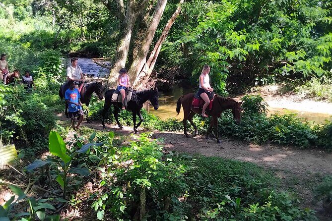 Fiji Adventure: Biausevu Waterfall & Dunes hiking Combo Tour! - FAQs