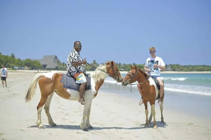 Fiji: Beach Horseback Riding Tour with Lunch and Transfer - An Introduction to the Experience  