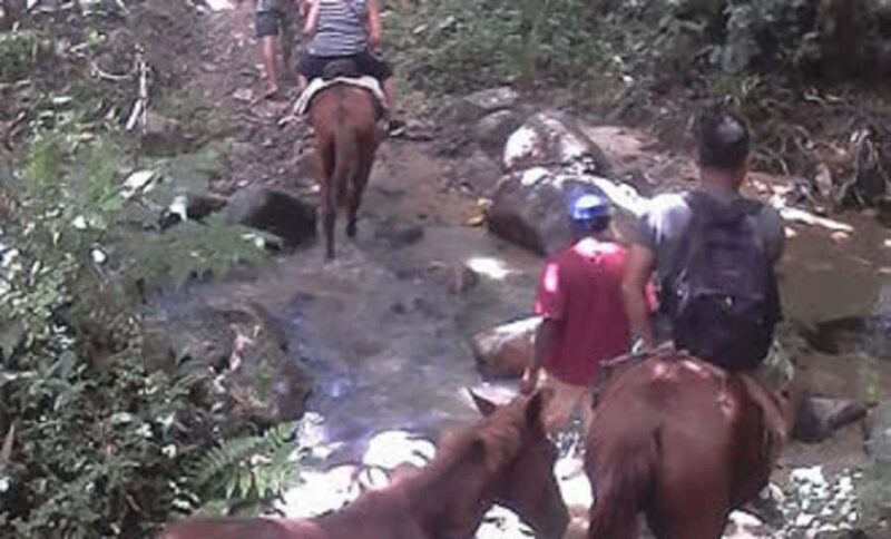 Fiji: Biasevu Village and Waterfall experience with Lunch - Additional Activities and Practical Details