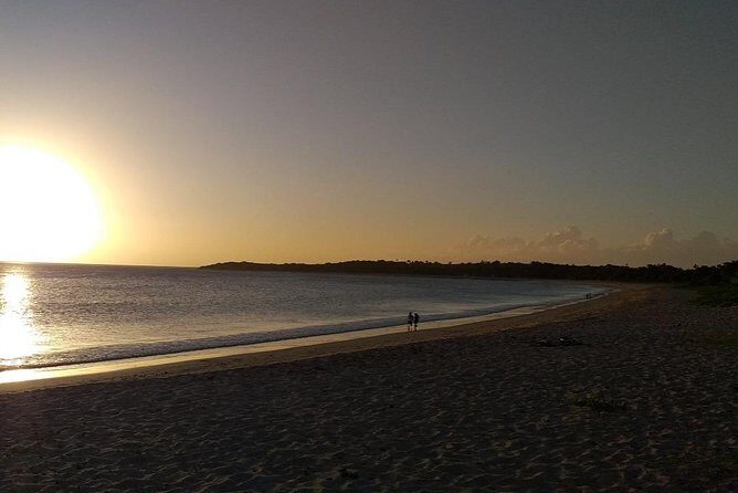 Fiji Coral Coast Venture - The Final Treasure: Mauve Bay Jetty and Fish Feeding