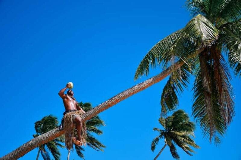 Fiji: Day and Night Combo Tour - Starting Your Day: Pickup & Transport  