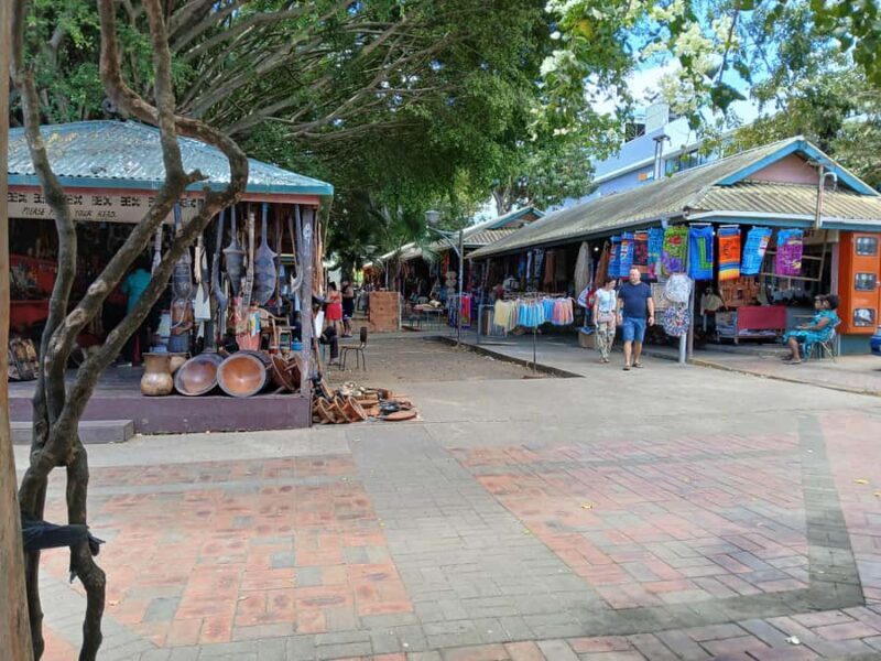 Fiji: Discover Nadi with Sabeto Hotspring and Mudpool Tour - Key Points