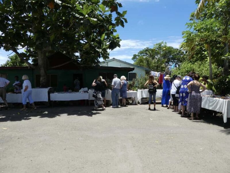 Fiji: Discover Nadi with Sabeto Hotspring and Mudpool Tour - Transport, Duration, and Overall Value