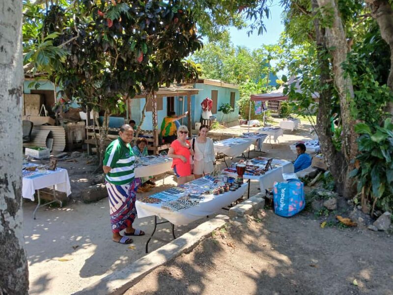 Fiji: Discover Nadi with Sabeto Hotspring and Mudpool Tour - Who Will Love This Tour?