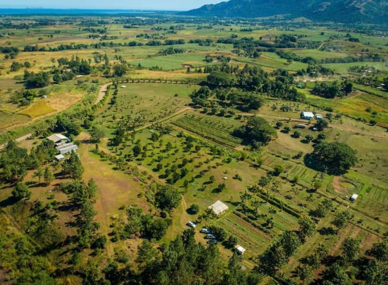 Fiji: Farm Tour: Animals, Honey Tasting & Fijian Cooking - Key Points