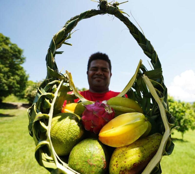 Fiji: Farm Tour: Animals, Honey Tasting & Fijian Cooking - Practical Details and Considerations