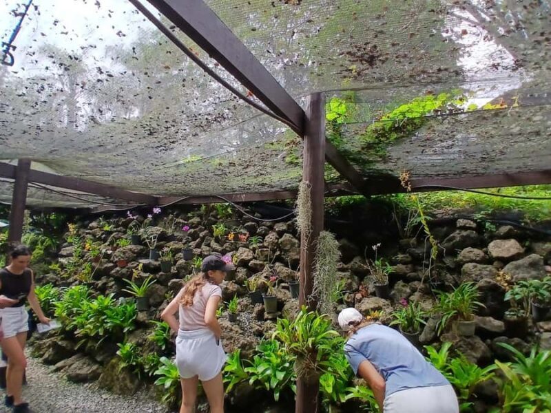 FIJI: Garden of the Sleeping Giant Tour - Key Points