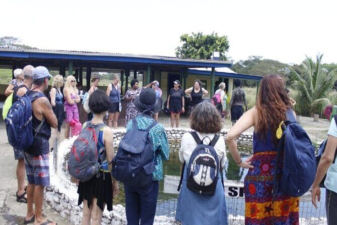 FIJI: Official Sabeto Hotspring and Mudpool Tour - What to Expect from the Sabeto Hot Springs and Mud Pool Tour