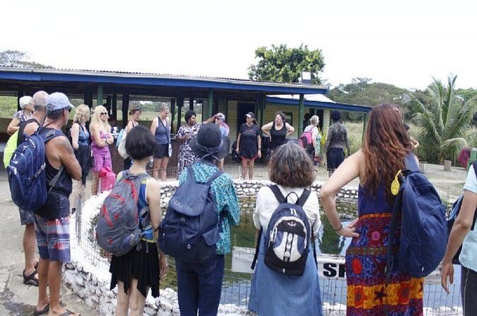 FIJI: Official Sabeto Hotspring and Mudpool Tour - Final Thoughts