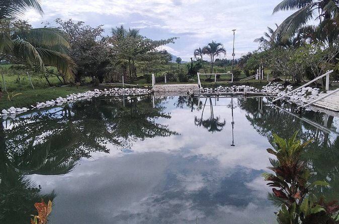 FIJI: Official Tifajek Mud Pool and Hot Spring Tour - FAQ