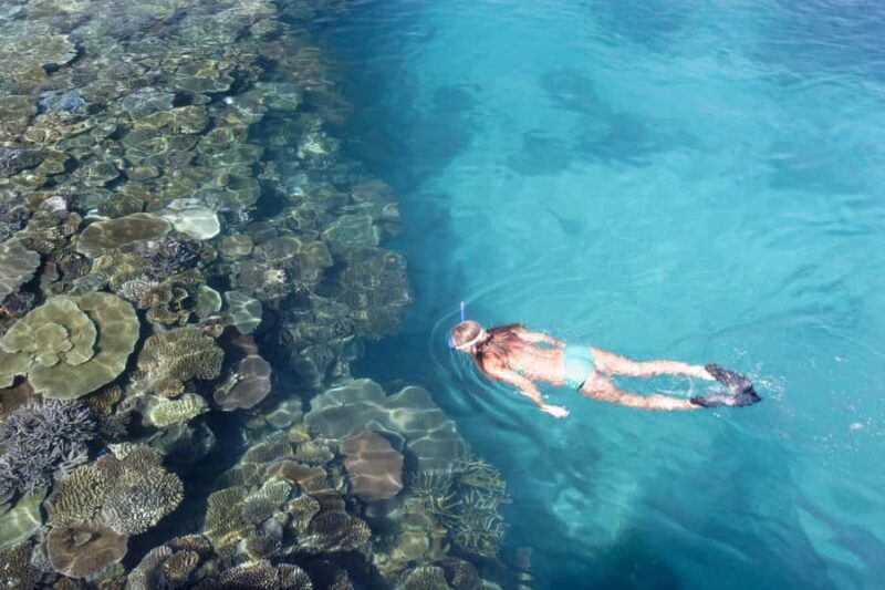 Fiji: South Sea Island Combo Half Day Trip Lunch & Drinks - Practical Details and Tips for Booking