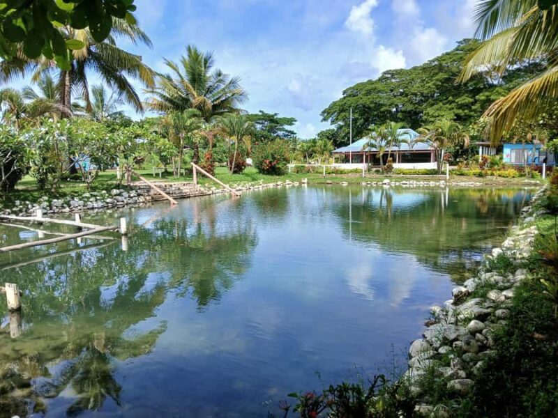 Fiji: Tifajek Mud Pool & Hotspring Tours & Tickets - Who Will Love This Tour?