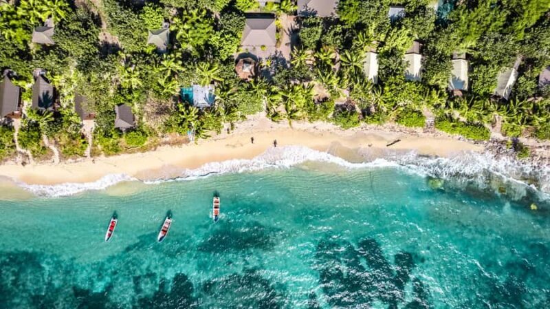 Fiji: Ultimate Encounters Snorkel with Sharks and Lunch - Practical Tips for Your Trip