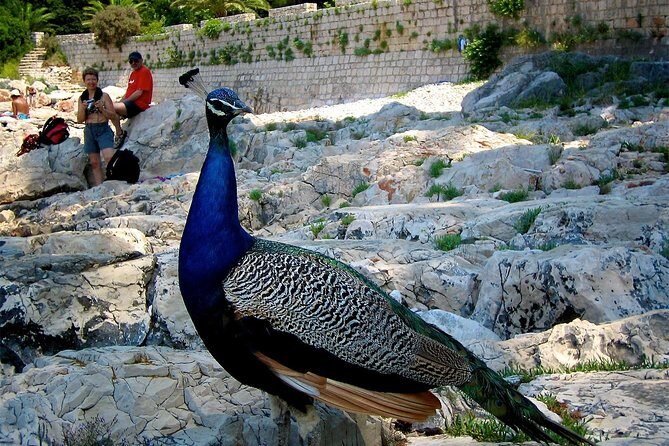 Filerimos Hill & Valley of Butterflies - The Itinerary Breakdown