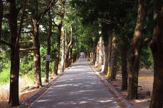 Filerimos Hill & Valley of Butterflies - FAQ