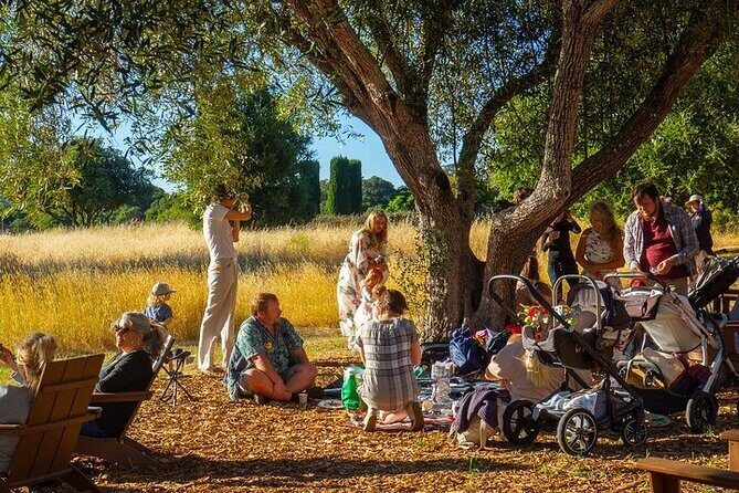 Filoli House & Garden - What to Expect From Your Visit to Filoli