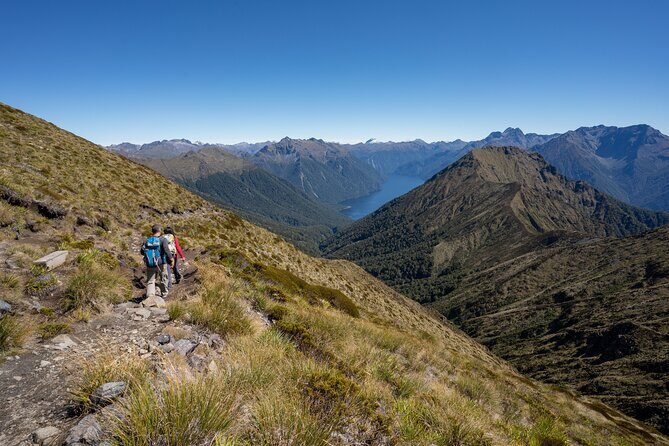 Fiordland Heli-hike from Te Anau - Insights from Travelers
