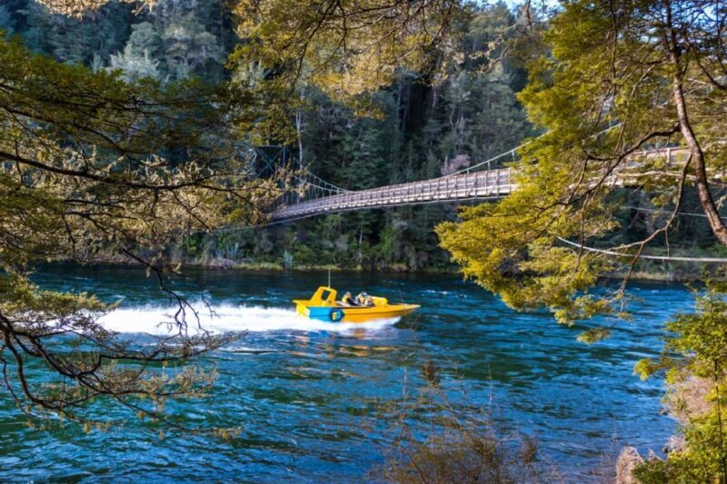 Fiordland: Jet Boat & Nature Walk Experience from Te Anau - Authentic Experiences from Real Travelers