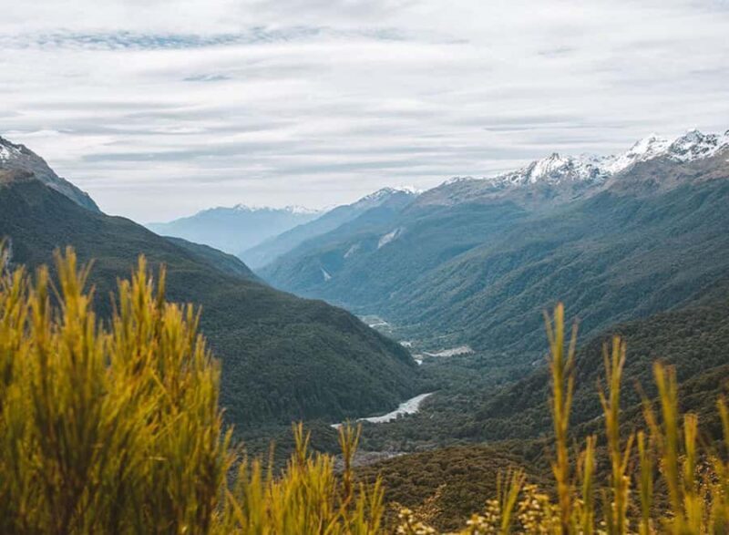 Fiordland: Routeburn Track and Key Summit Guided Day Walk - Who Would Love This Tour?