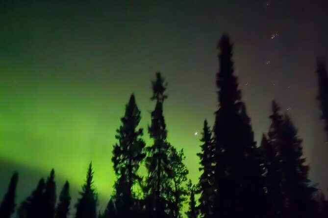 Fire & Ice: Chena Hot Springs, Ice Museum + Aurora Adventure - The Sum Up: Is It Worth It?