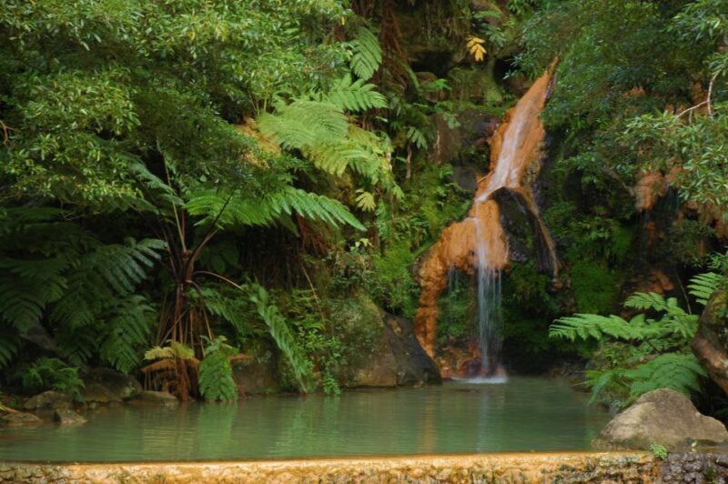 Fire Lake & Tea Factory & Pinneaple - Exploring São Miguel: Fire Lake, Tea Factory & Pineapple Tour Review