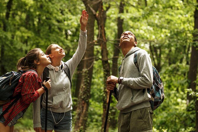 Firefly Sanctuary Tour in Puebla - Final Thoughts: Who Will Love This Tour?