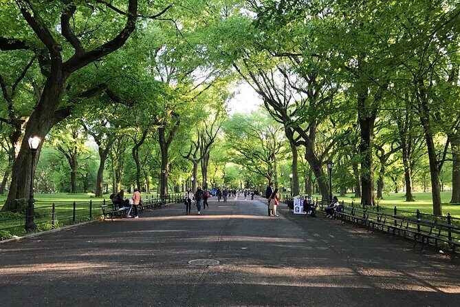 First Class Central Park Tour  Iconic Views & VIP Photo Moments - The Sum Up: Is It Worth It?  