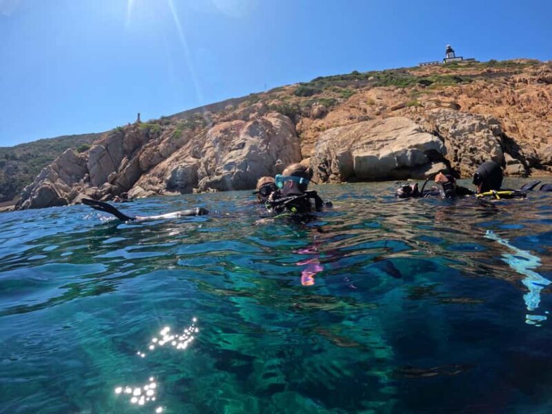 First Scuba Diving Experience in Calvi (From 8 yo) - The Sum Up