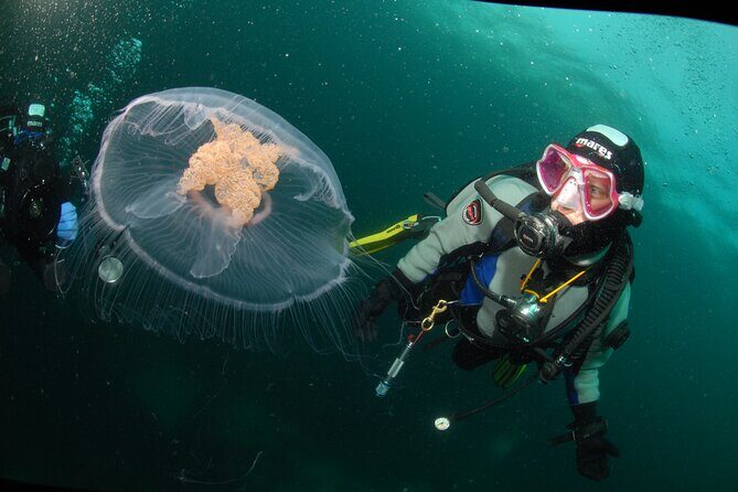 First Time Diver Scuba Experience - What Past Participants Say