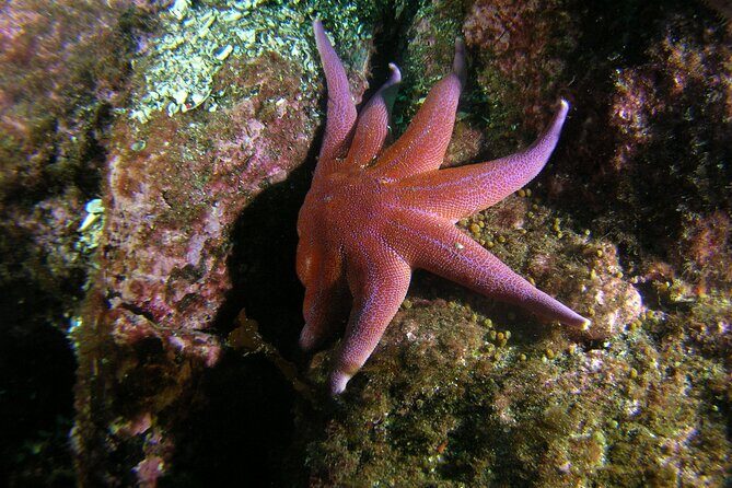 First Time Diver Scuba Experience - Practical Tips for Booking and Participating