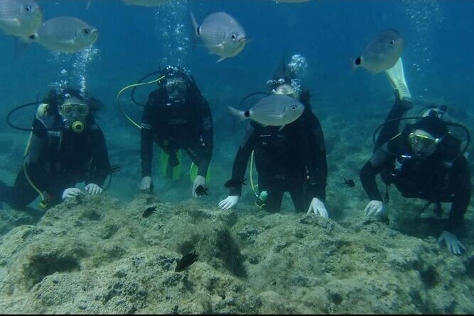 First Time Scuba Dive Adventure, Makronissos, Ayia Napa - An In-Depth Look at the Makronissos Scuba Tour