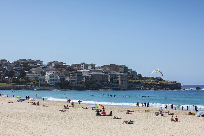 First Timer Sydney Sightseeing & Bondi Beach 1/2 Day Tour - Who Should Consider This Tour?