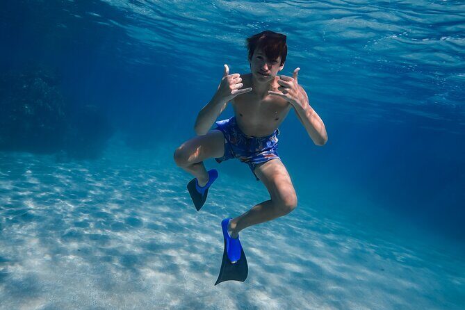 First Timers and Non-Swimmers Snorkeling Experience in Wailea - Who This Tour Is Best For